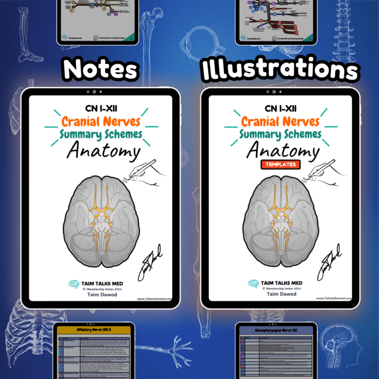 12 Cranial Nerves Summary - TaimTalksMed - Medicine Lectures, Notes ...