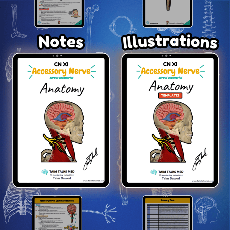 Accessory Nerve (CN XI) - TaimTalksMed - Medicine Lectures, Notes ...