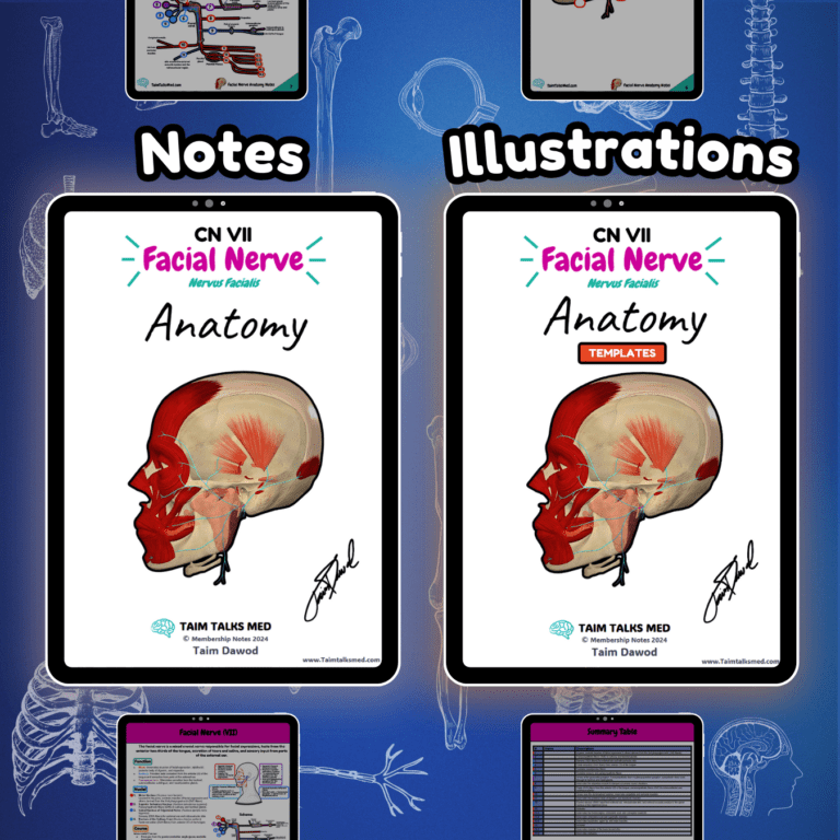 Facial Nerve (CN VII) - TaimTalksMed - Medicine Lectures, Notes ...