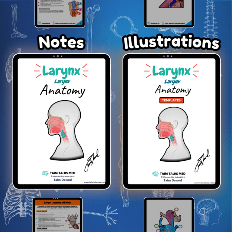 Larynx – TaimTalksMed