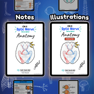 Optic Nerve (CN II) - TaimTalksMed - Medicine Lectures, Notes ...