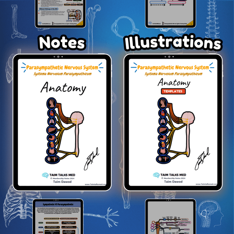 Parasympathetic Nervous System - TaimTalksMed - Medicine Lectures ...
