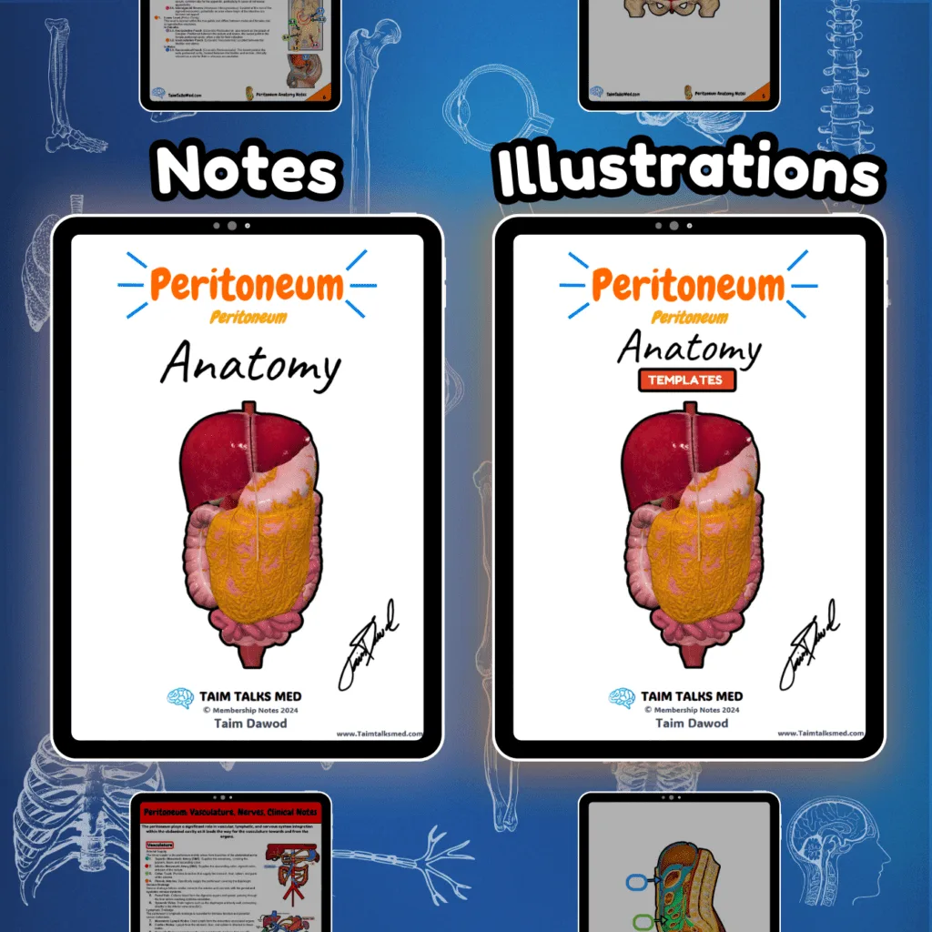 Peritoneum – TaimTalksMed – Medicine Lectures, Notes & Illustrations