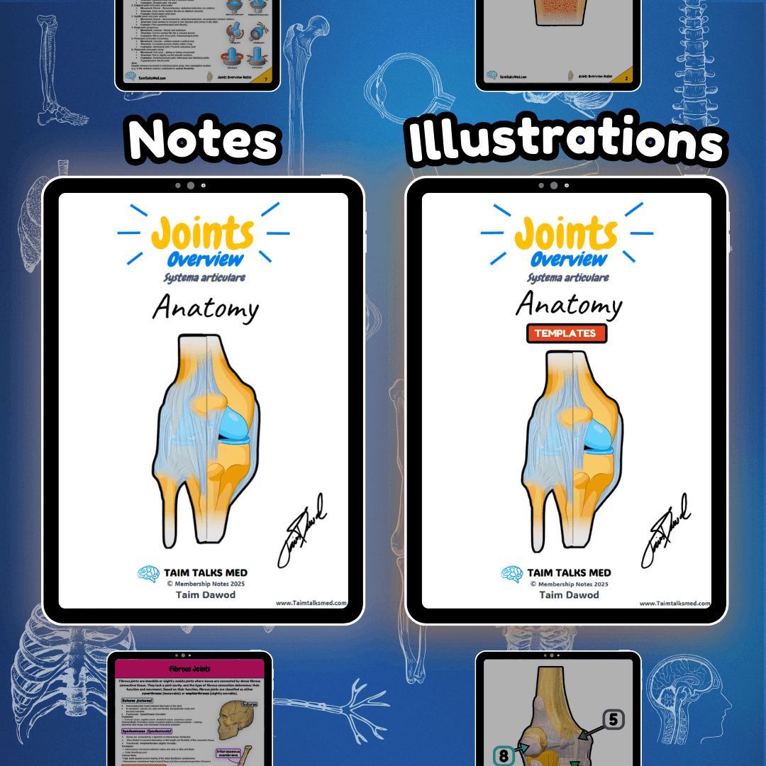 Joints Overview - TaimTalksMed - Medicine Lectures, Notes & Illustrations