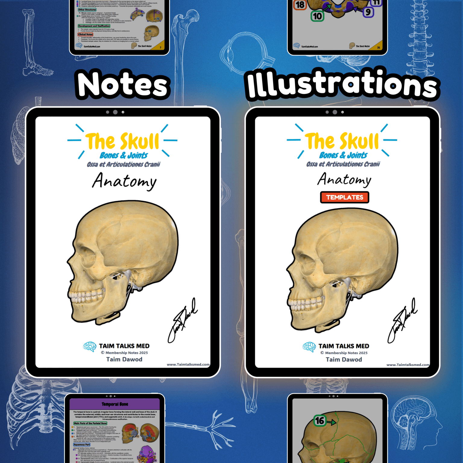 Skull Bones & Joints - TaimTalksMed - Medicine Lectures, Notes ...