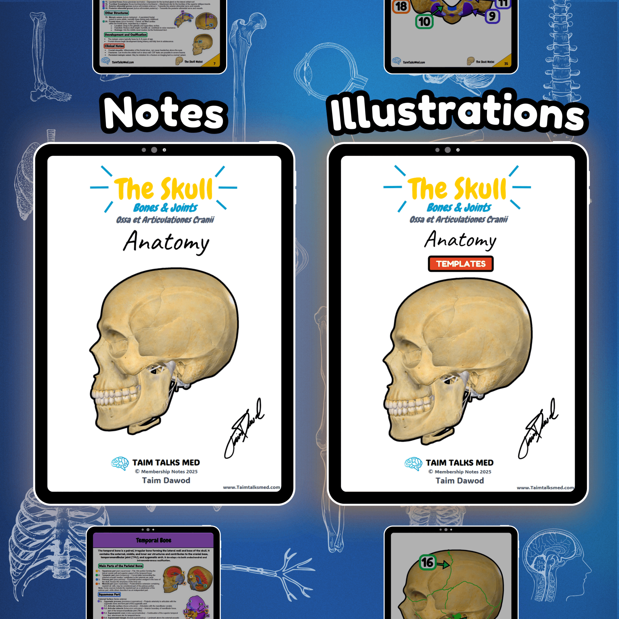 Skull Bones & Joints - TaimTalksMed - Medicine Lectures, Notes ...