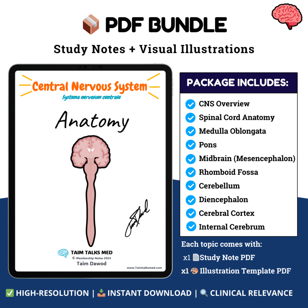 Central Nervous System – TaimTalksMed – Medicine Lectures, Notes ...