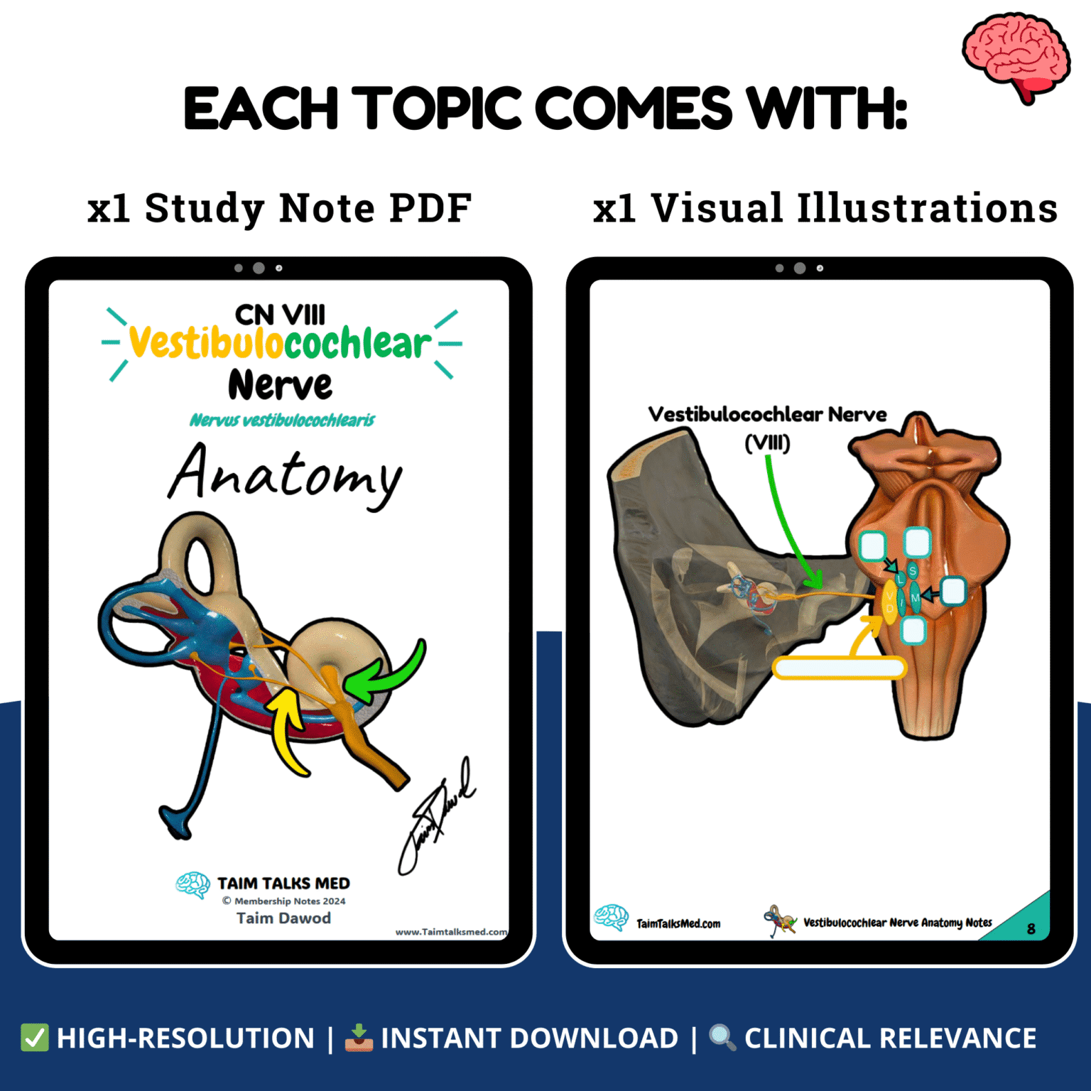 Cranial Nerves - TaimTalksMed - Medicine Lectures, Notes & Illustrations