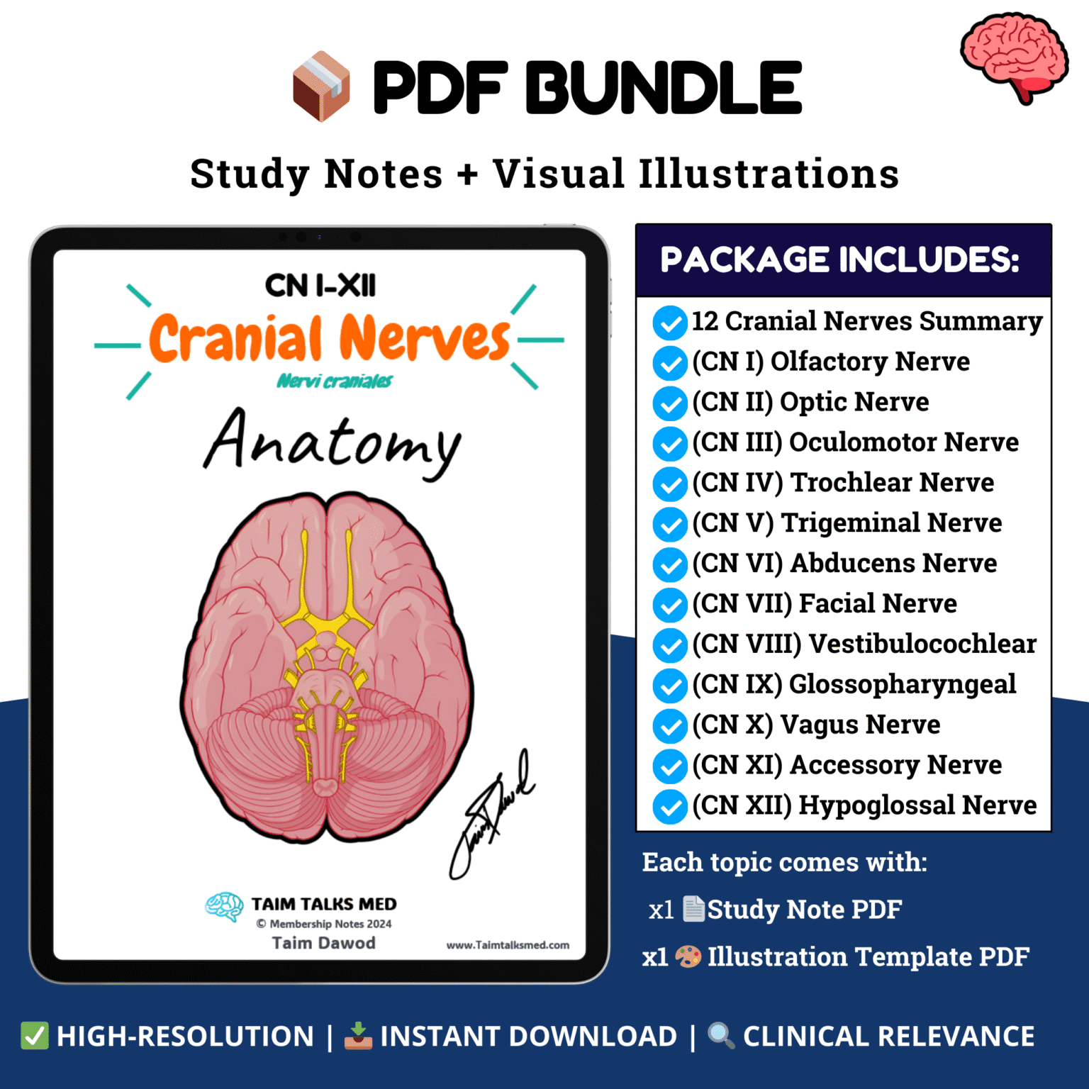 Cranial Nerves - TaimTalksMed - Medicine Lectures, Notes & Illustrations