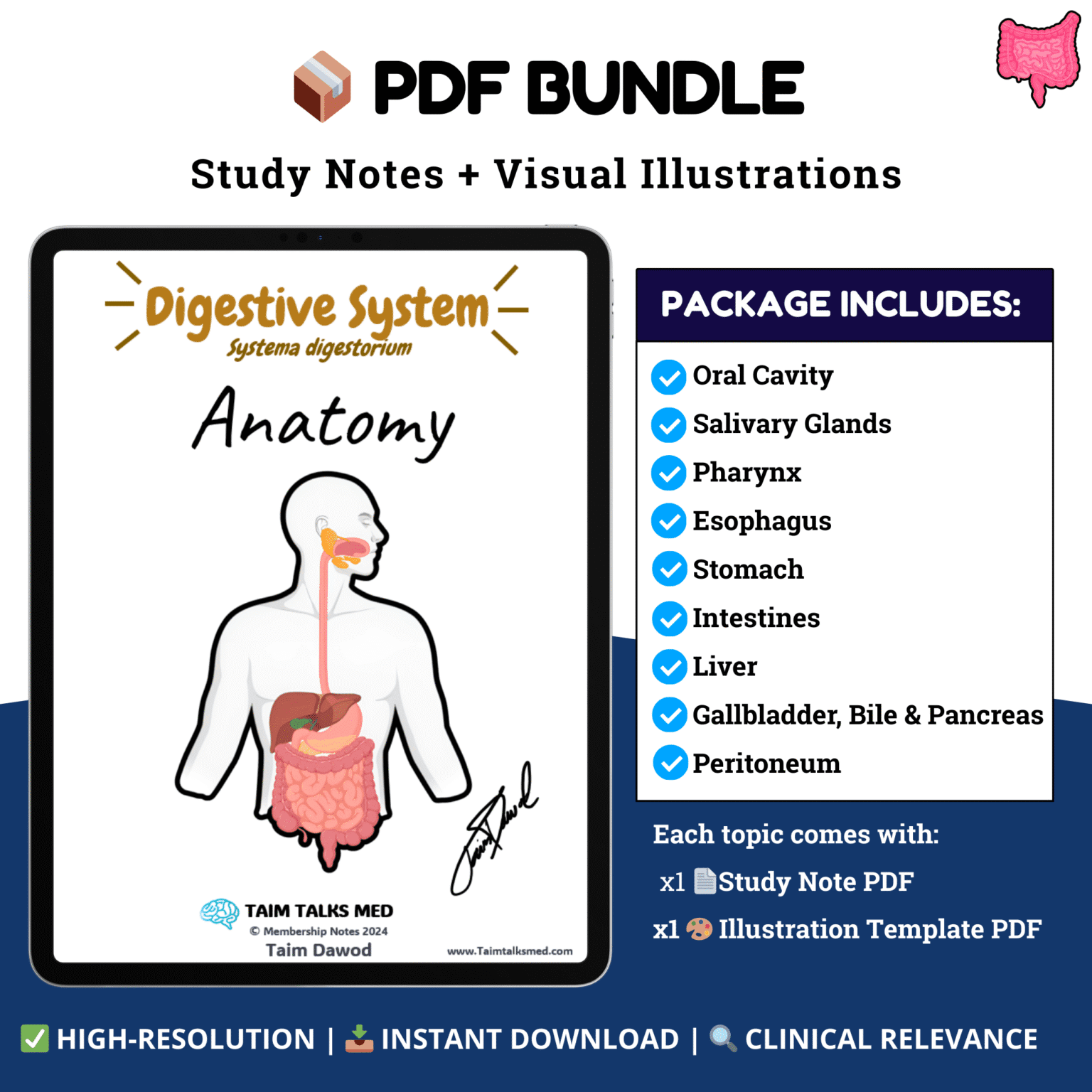 Digestive System - TaimTalksMed - Medicine Lectures, Notes & Illustrations