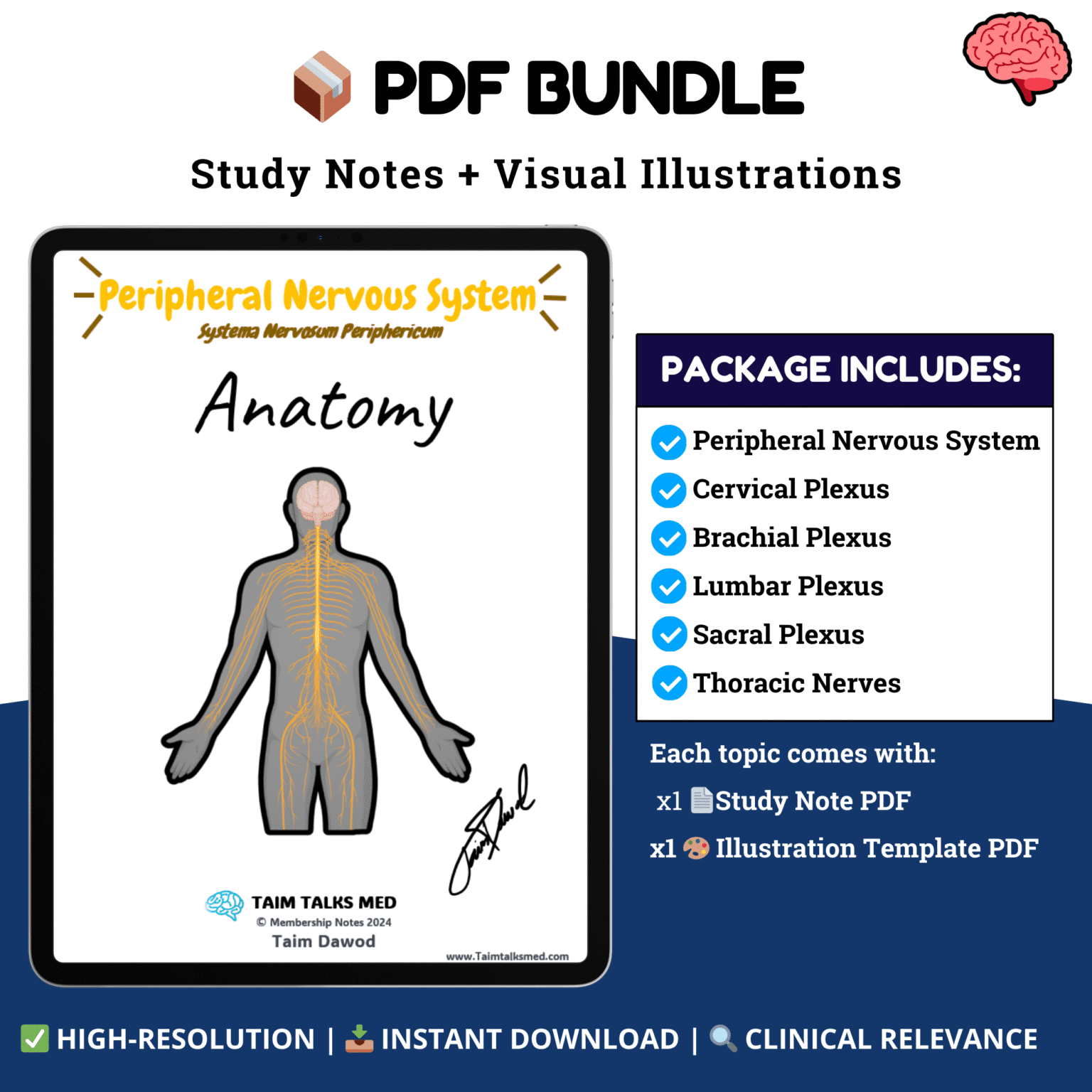 Peripheral Nervous System – TaimTalksMed – Medicine Lectures, Notes ...