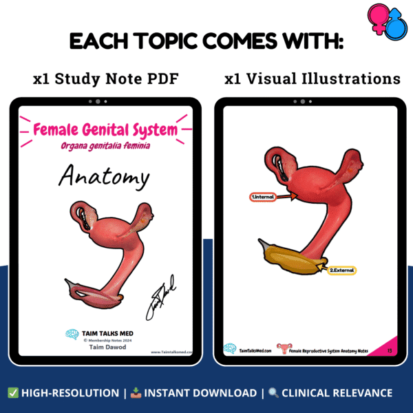 Autonomic Nervous System - TaimTalksMed - Medicine Lectures, Notes ...