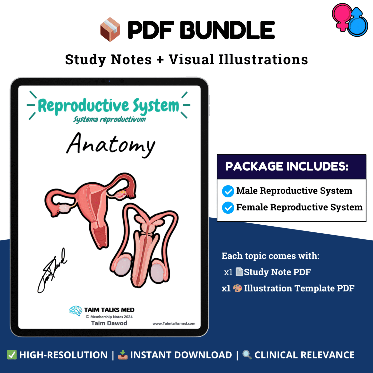 Reproductive System – TaimTalksMed – Medicine Lectures, Notes ...