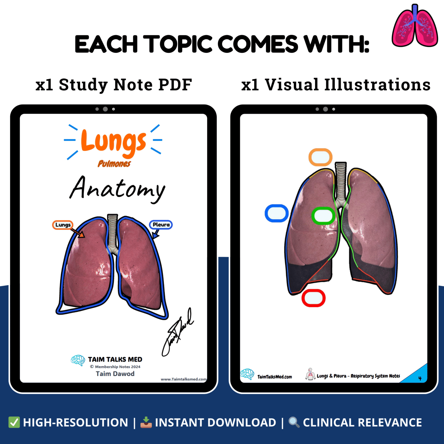 Respiratory System - TaimTalksMed - Medicine Lectures, Notes ...