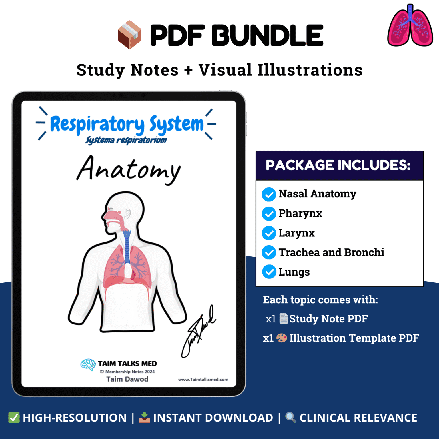 Respiratory System – TaimTalksMed – Medicine Lectures, Notes ...