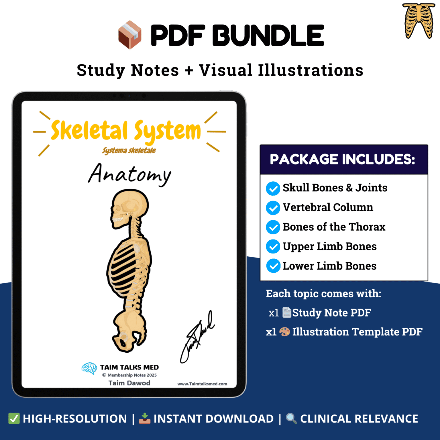 Skeletal System – TaimTalksMed – Medicine Lectures, Notes & Illustrations