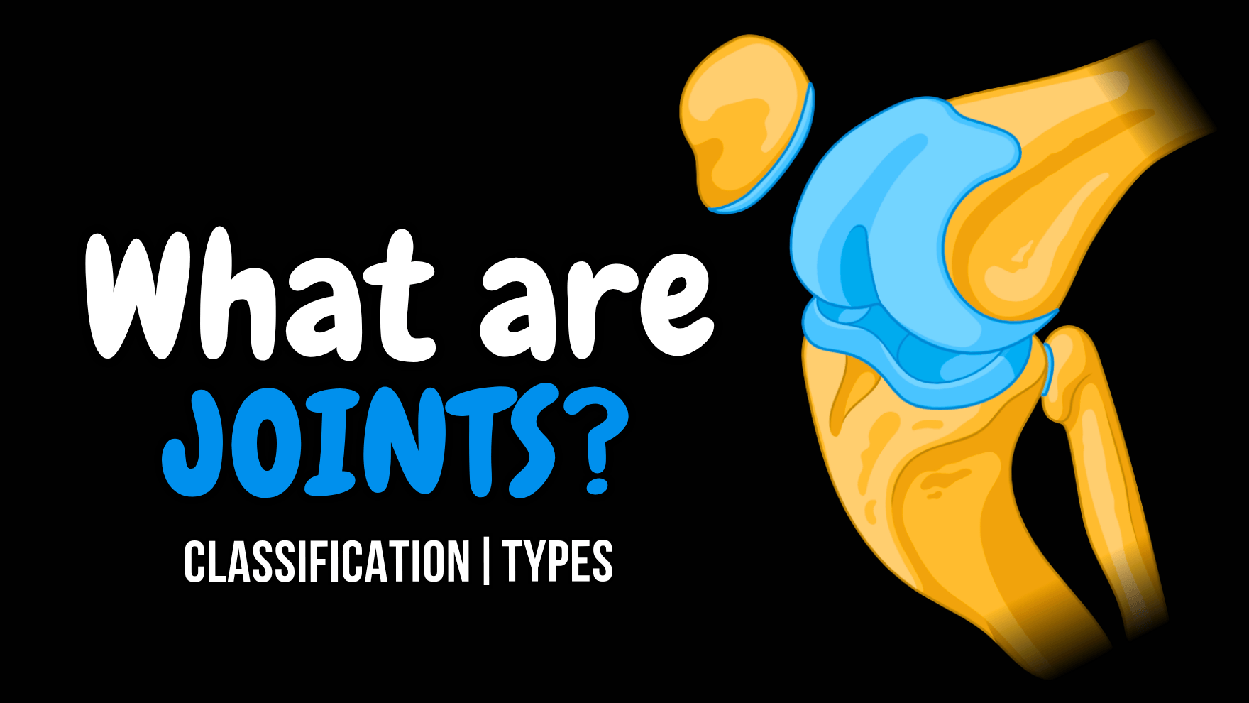 What Are Joints? Classification, Types & Clinical Anatomy Explained ...